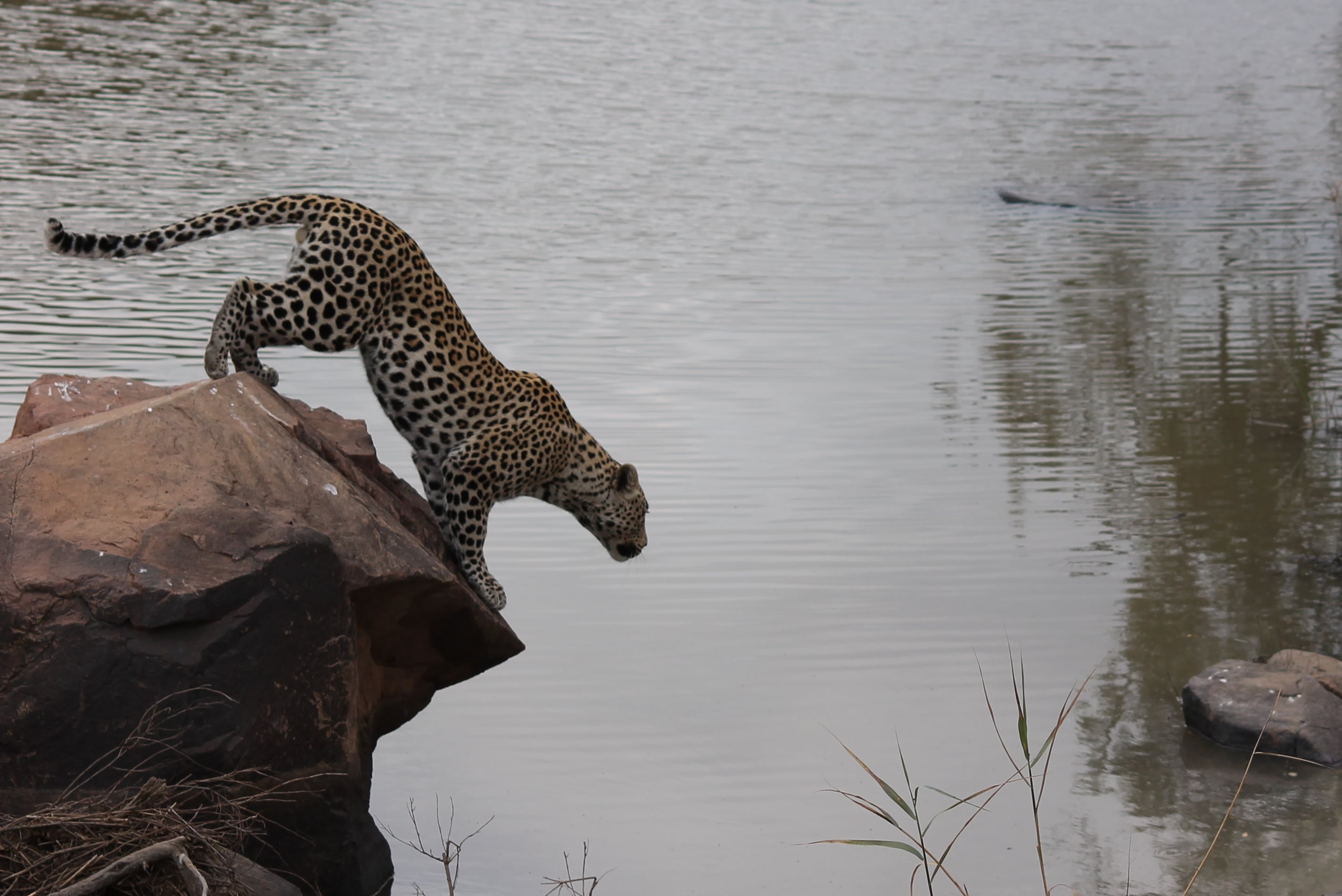 Gallery | Wild World Tours